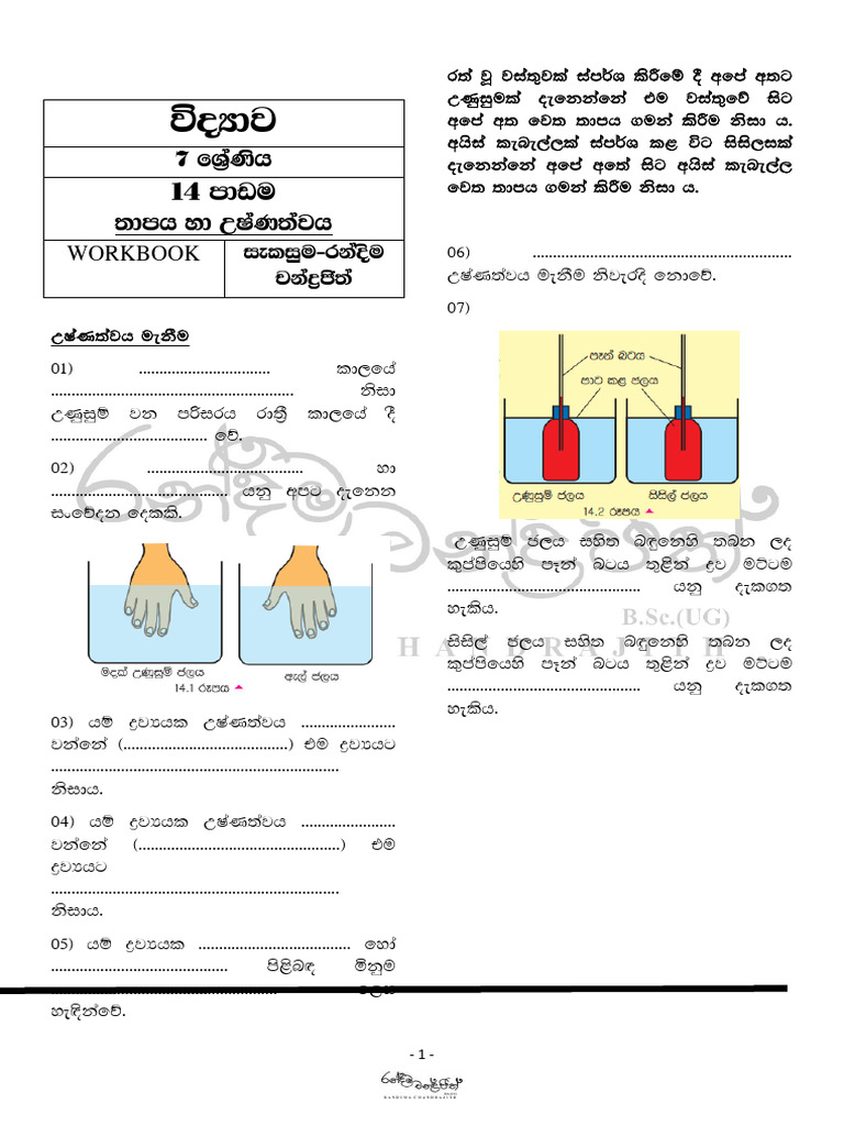 Grade 7 Science Term 3 Workbook Full | PDF
