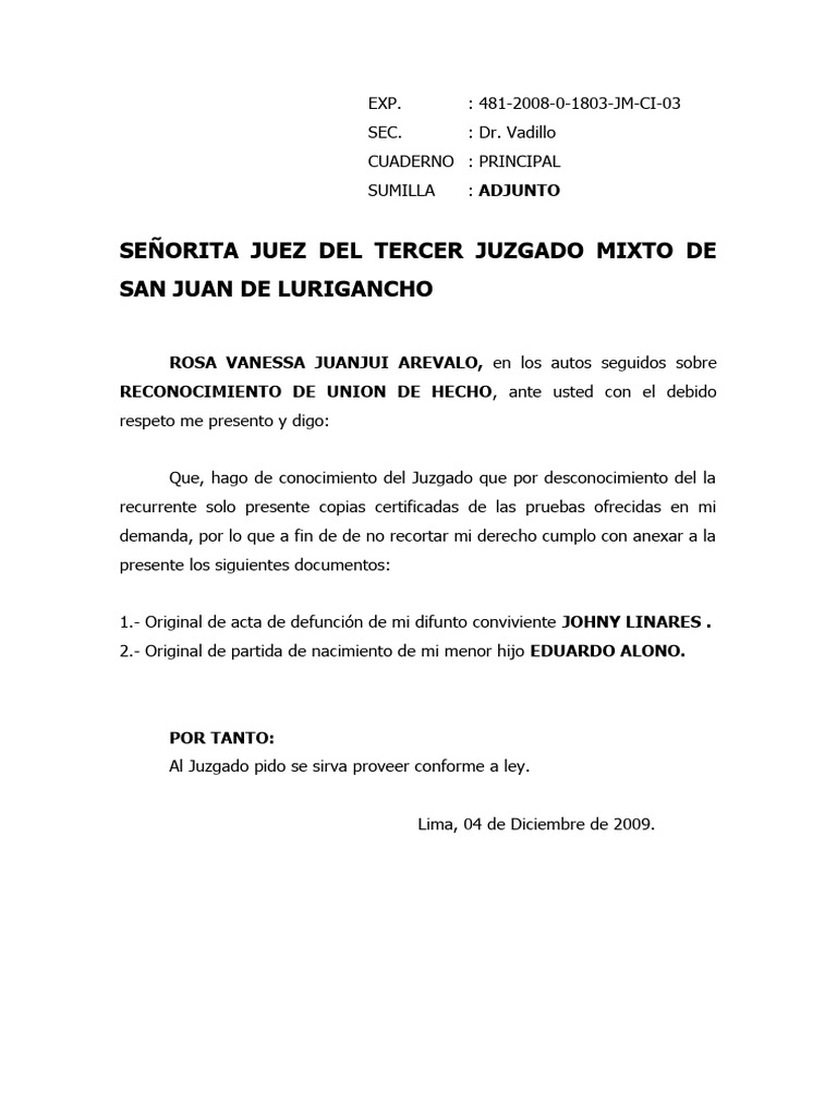 Adjunto Original de Doc - Vanessa Panduro | PDF | Derecho