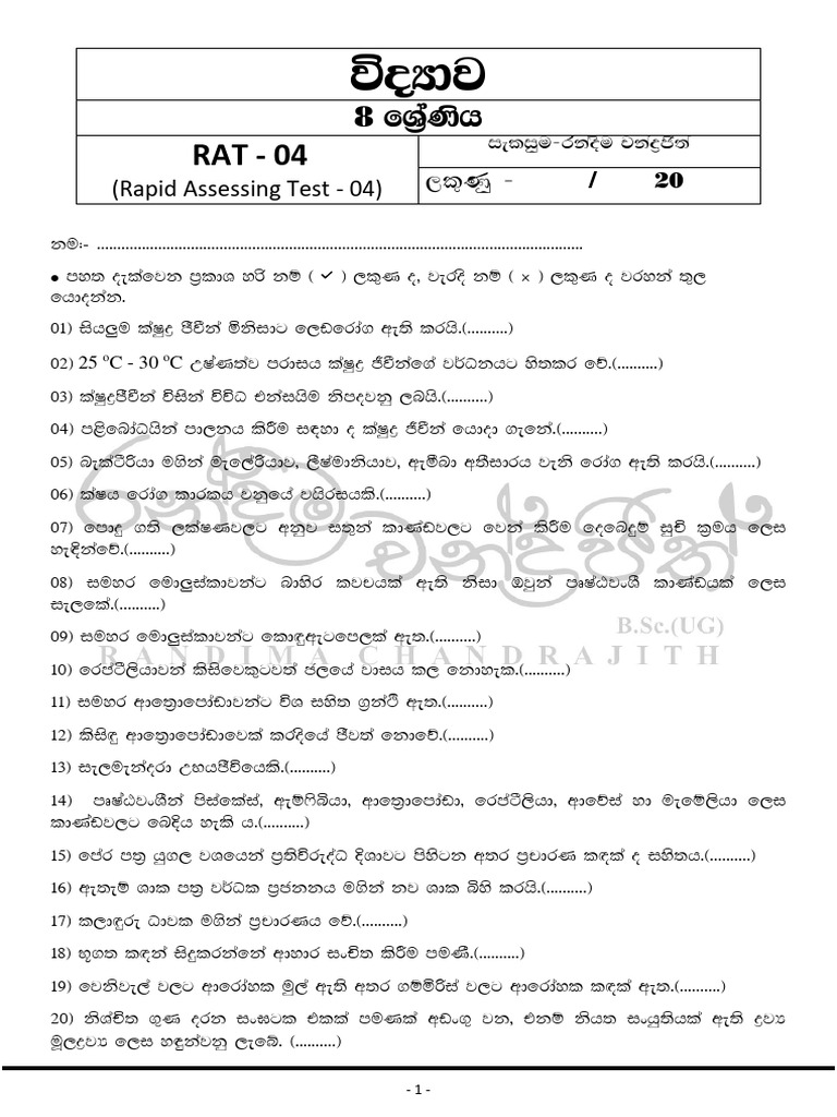 Grade 8 Science Rat 04 | PDF