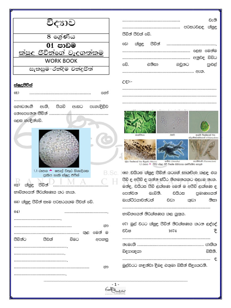Grade 8 Science Workbook 1 Microbiology | PDF