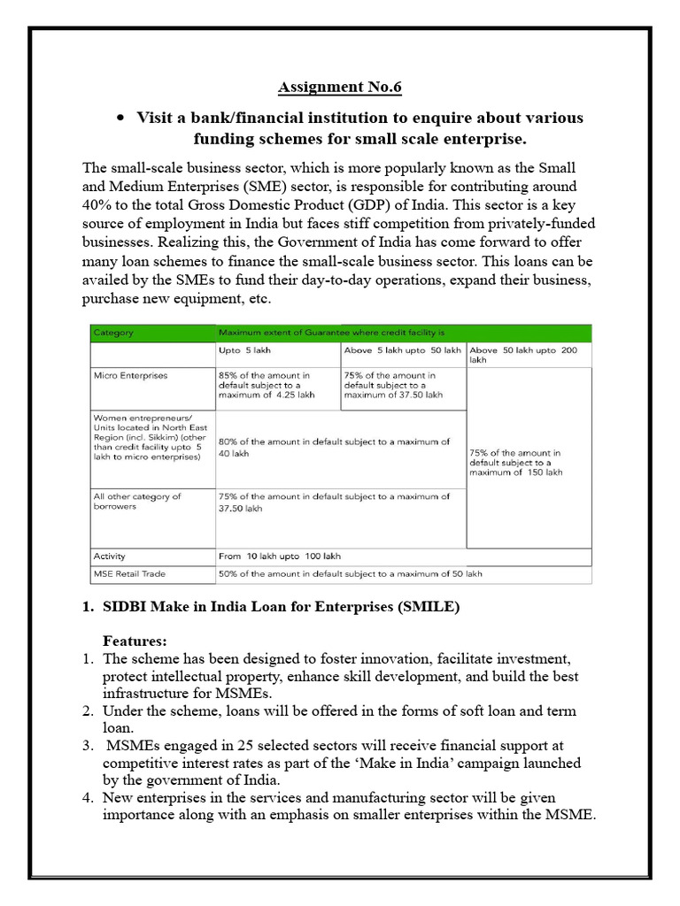 Assignment No 6 | Download Free PDF | Small And Medium Sized Enterprises | Loans