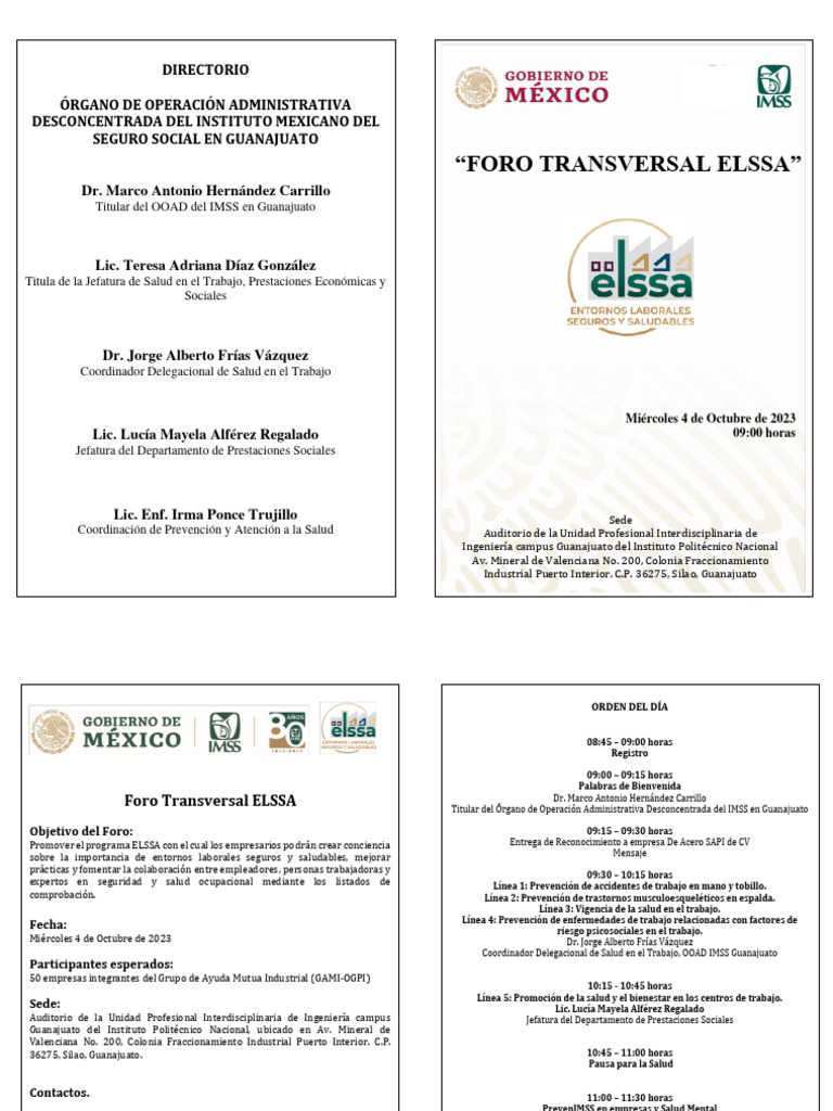 Foro ELSSA: Promoviendo Salud Laboral | PDF
