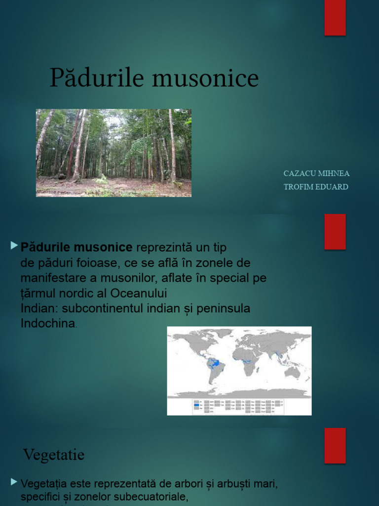 Padurile Musonice | PDF