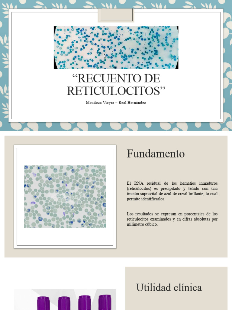 Recuento de Reticulocitos | PDF | Histología | Inmunología