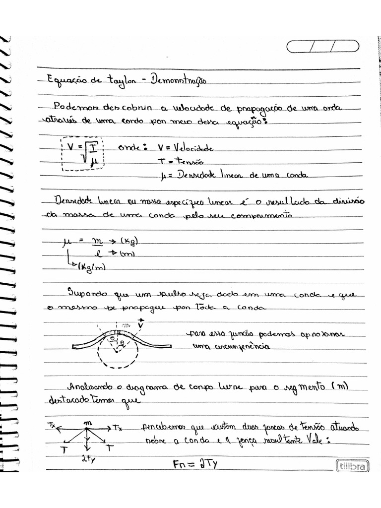 Equação de Taylor - Demonstração | PDF