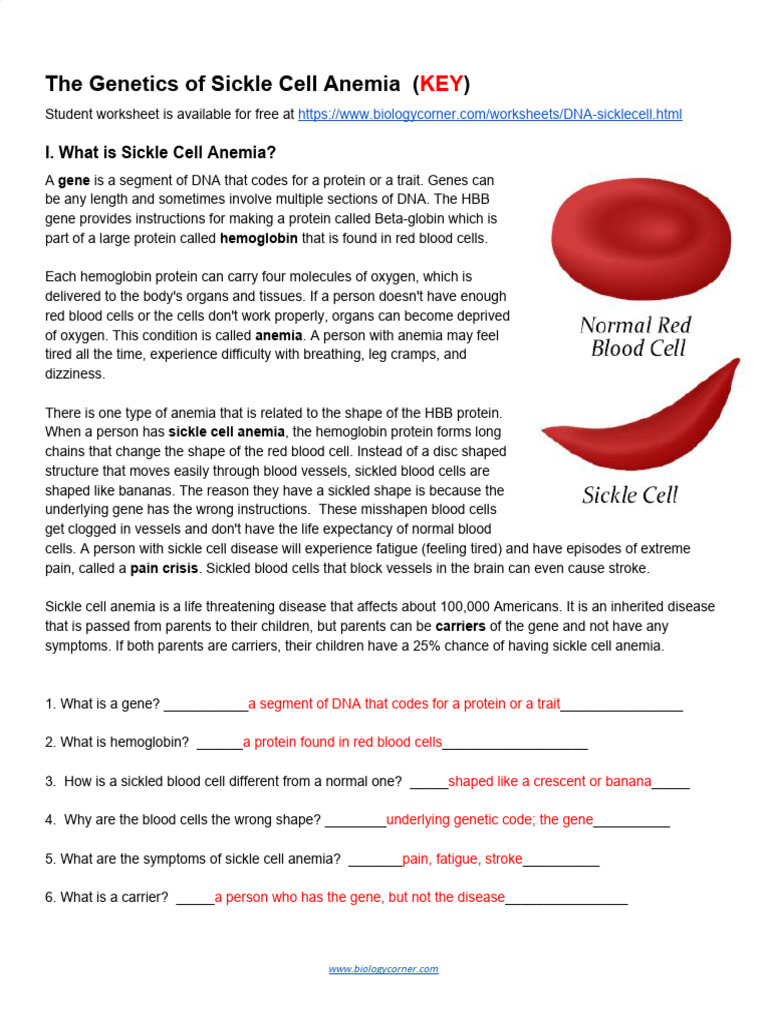 Sickle Cell Anemia | PDF | Nucleic Acid Sequence | Rna