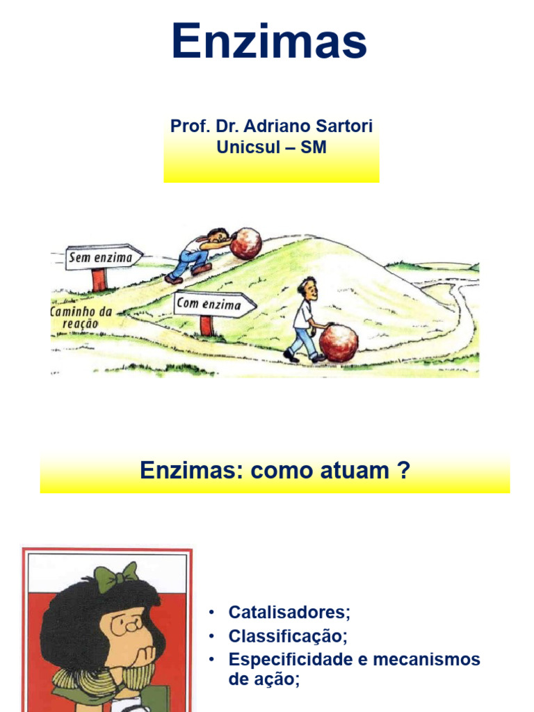 Aula - Enzimas | PDF