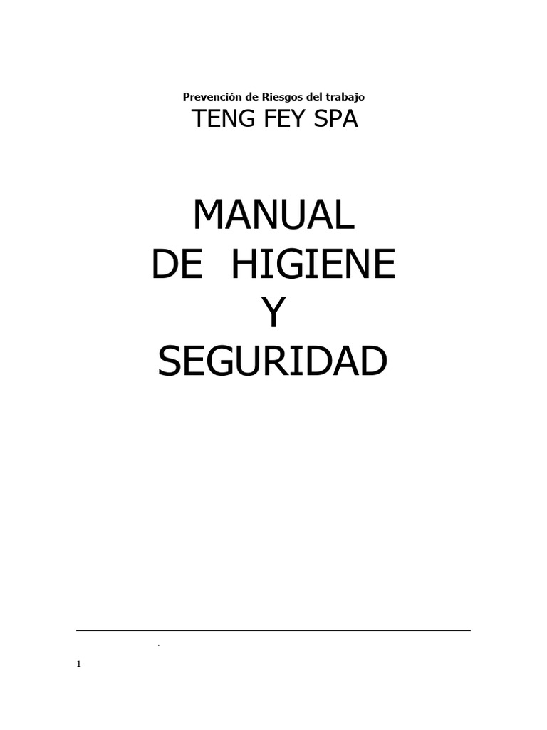 Manual de Higienes y Seguridad TENG FEY SPA | PDF | Valores | Higiene