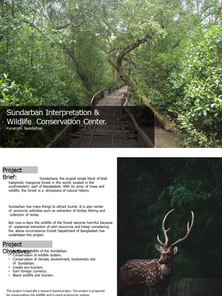 Site Analysis-Sundarban Wildlife Karomjol. | PDF | Natural Environment ...