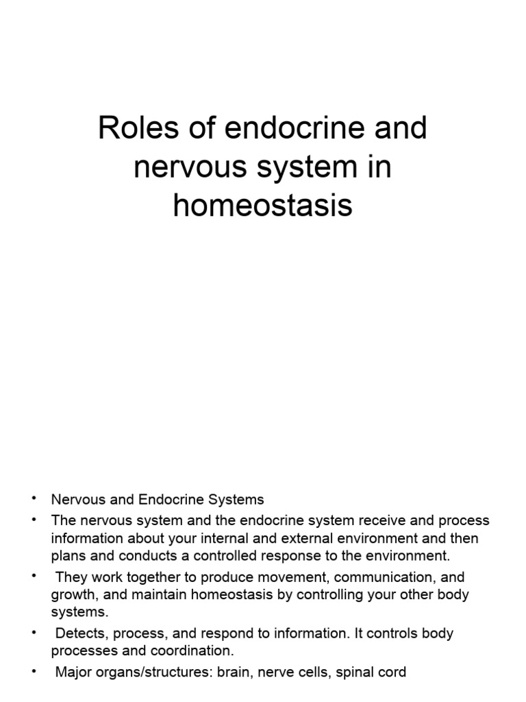 Roles of Endocrine and Nervous System in Homeostasis | PDF | Nervous ...