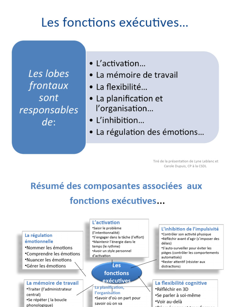Les Fonctions Exécutives | PDF