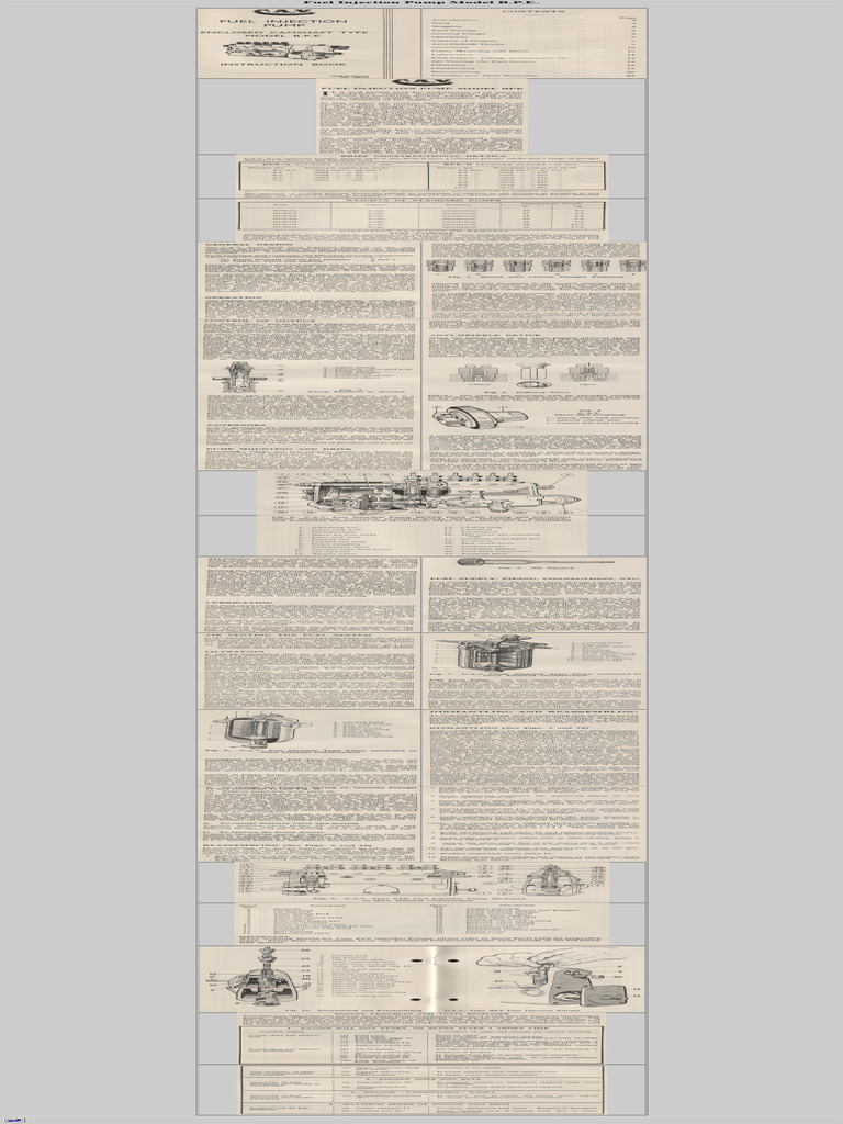 CAV BPE Manual | PDF