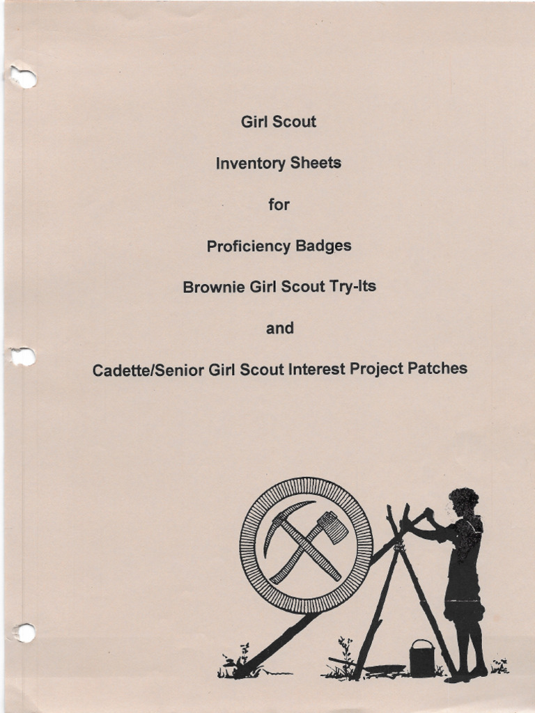 Badge Inventory Sheet NHPC | PDF