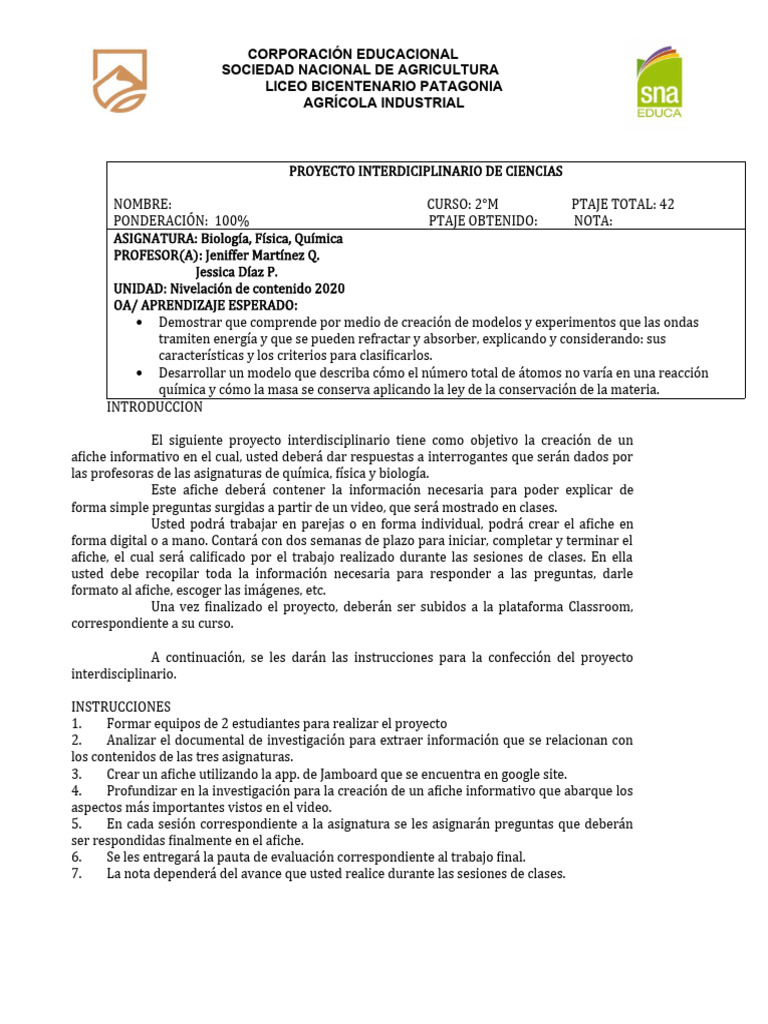 Proyecto Interdiciplinario de Ciencias | PDF | Color de piel humana | Piel