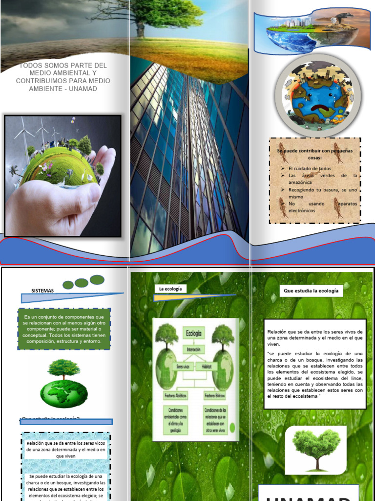 Triptico Contaminacion Ambiental | PDF Triptico Contaminacion Ambiental | PDF