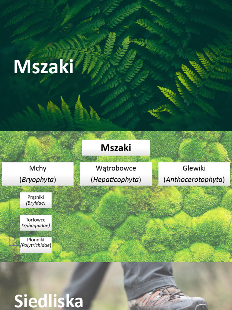 Mszaki | PDF