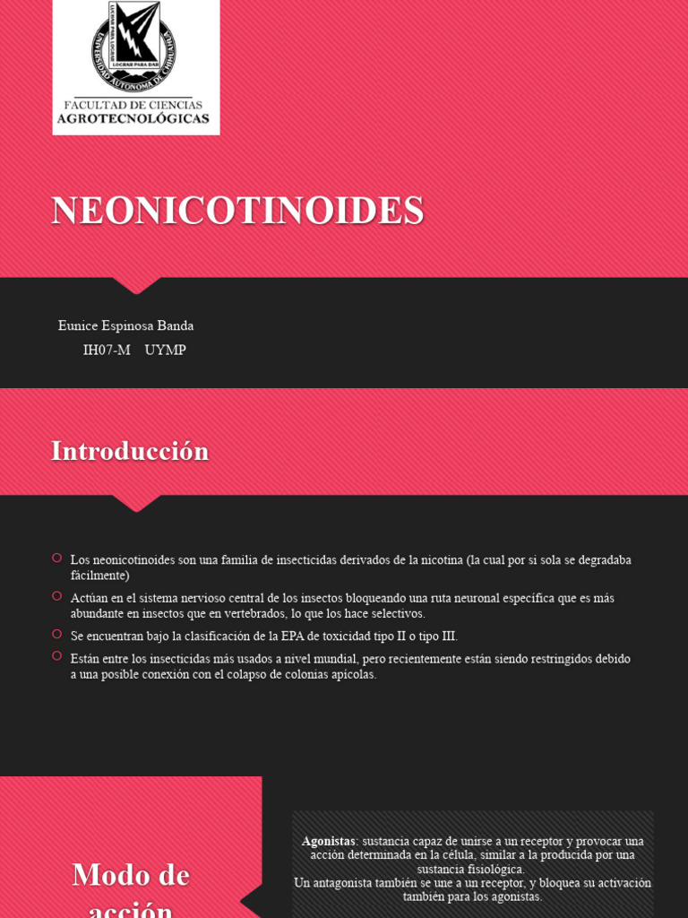 Neonicotinoides: Insecticidas y Efectos | PDF