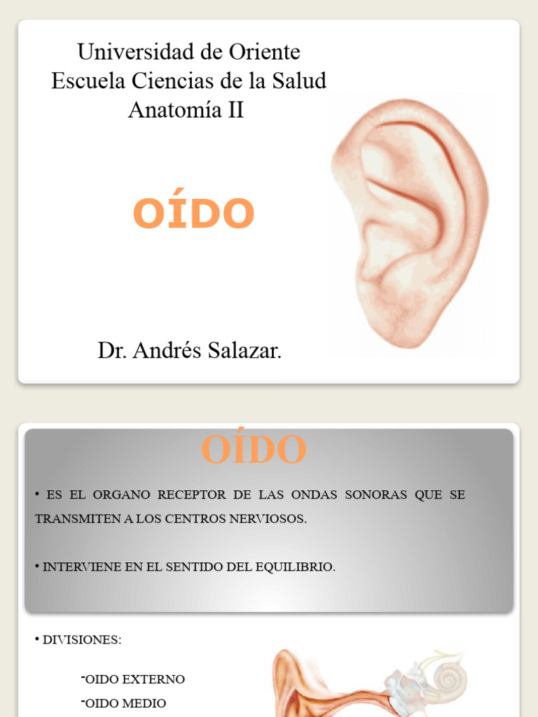Oido | PDF | Oído | Anatomía