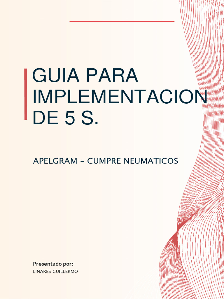5S Guía | PDF