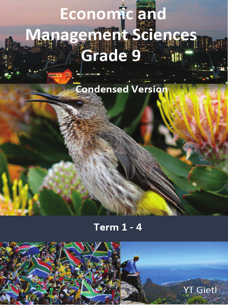 EMS 9 Condens | PDF | Economic Equilibrium | Supply (Economics)