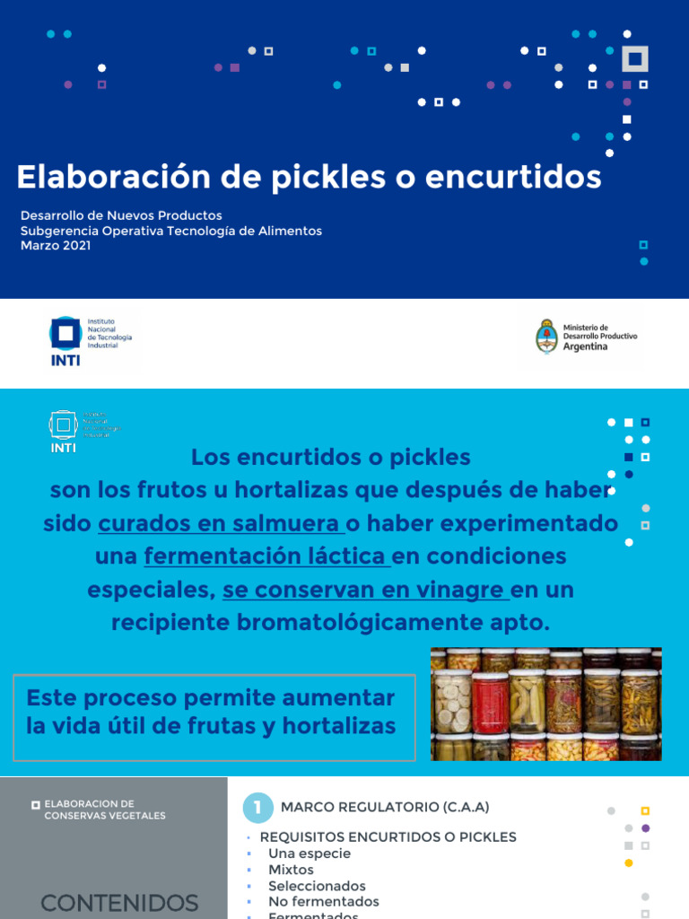 Elaboración de Pickles o Encurtidos | PDF | Decapado | Fermentación