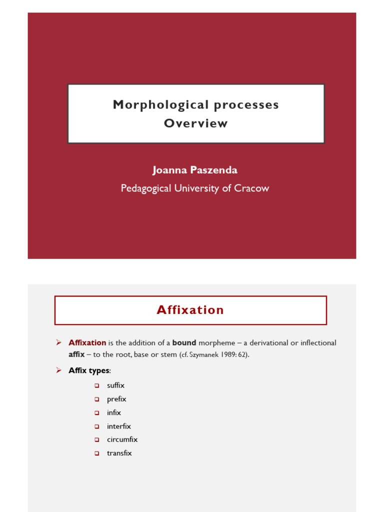 Presentation - Morphological Processes - Overview | PDF