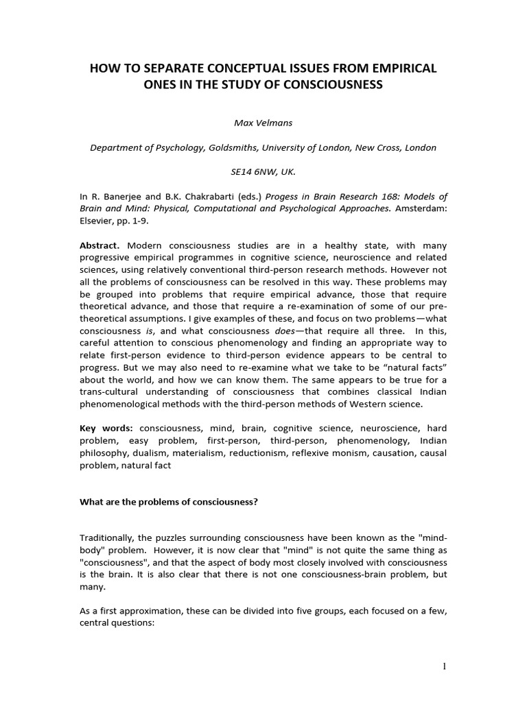 How To Separate Conceptual Issues From Speculative Frames | PDF