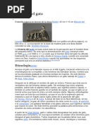 Texto Expositivo El Gato | PDF
