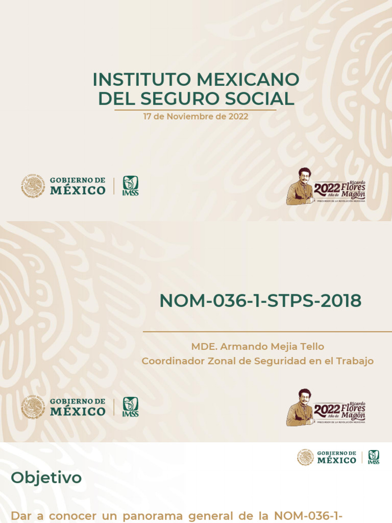 Puebla Nom-036-1-Stps-2018 | Descargar gratis PDF | Factores humanos y ...