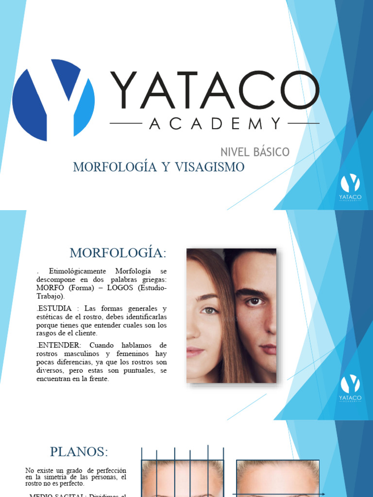 Clase 4 Morfologia Del Rostro y Visagismo | PDF | Productos cosméticos