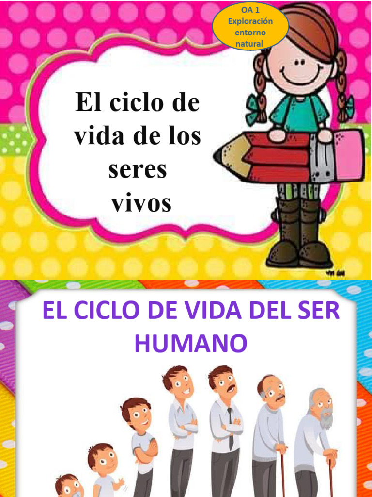 Ciclo de Vida Seres Vivos | PDF