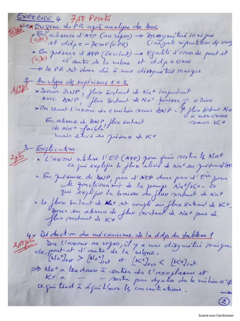 P2 Corrigé Dev Niv N°1 TC An24 | PDF