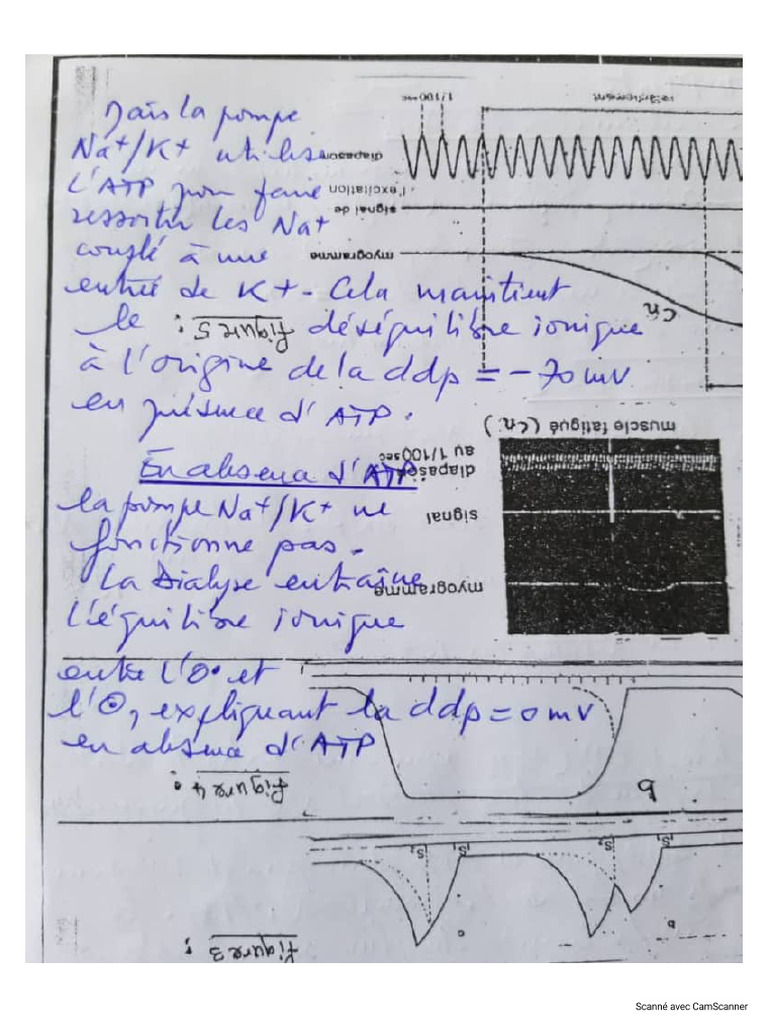 P3 Corrigé Dev de Niv N°1 TC An24 | PDF
