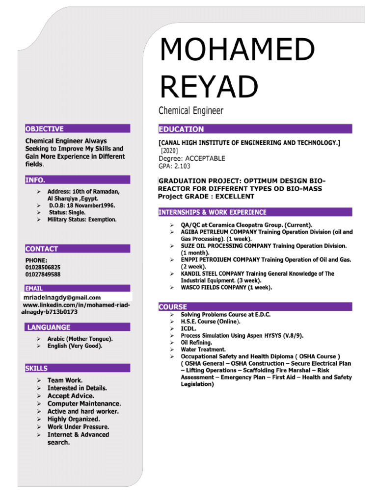 Mohamed Reyad | PDF
