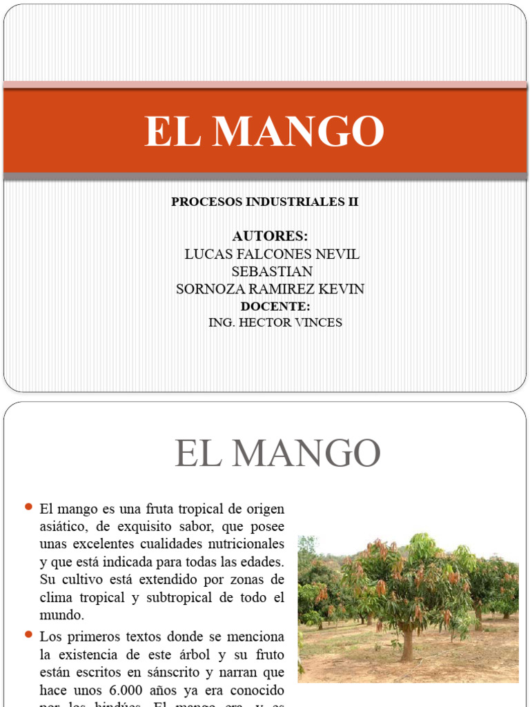 El Mango | PDF