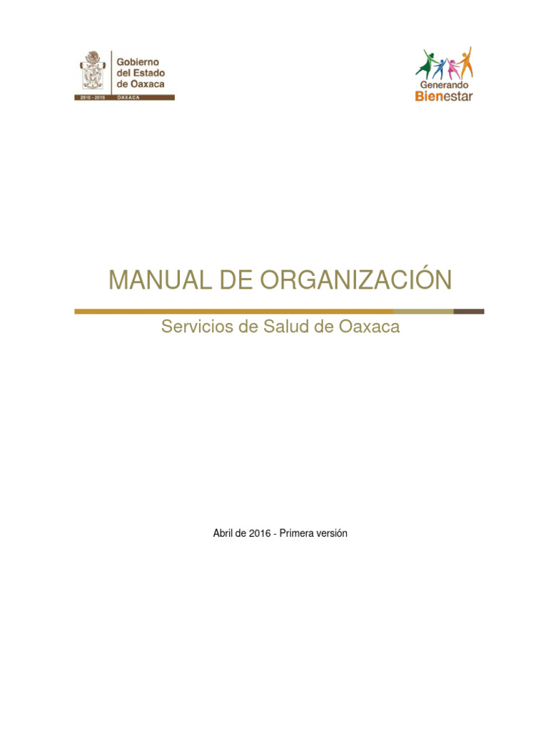 Manual de Organizacion de Los SSOabril.2016 | PDF | Hospital | Cuidado de la salud