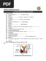 Class 12 - Biology - Human Reproduction | PDF | Menstrual Cycle ...