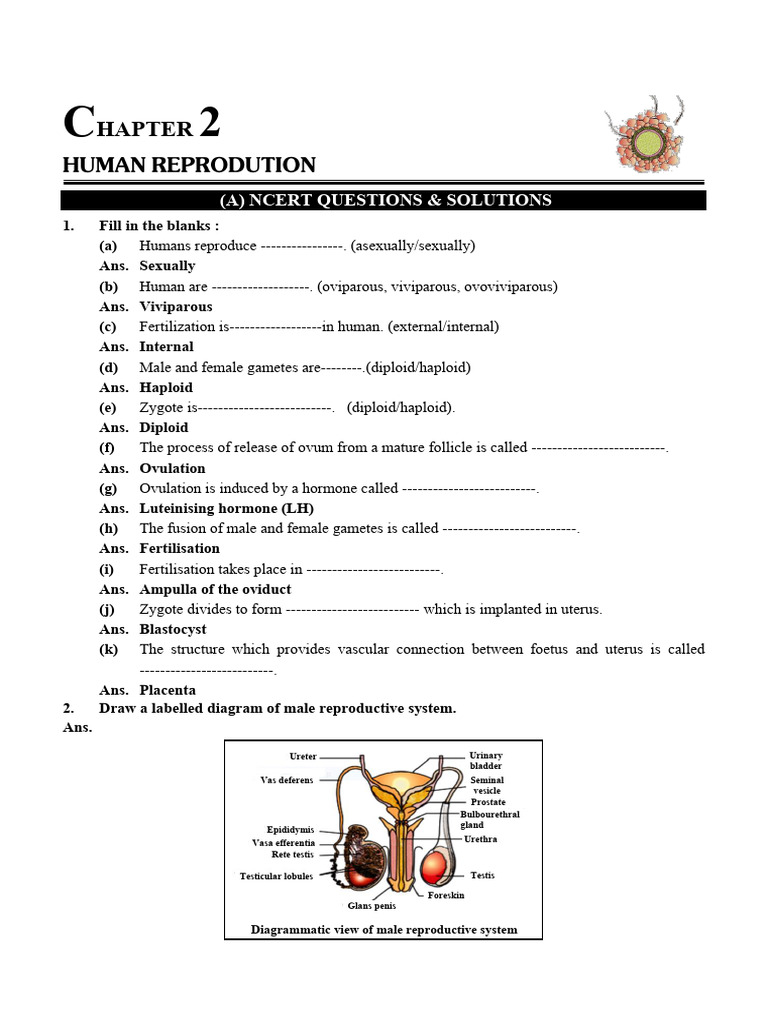 Human Reproduction | PDF