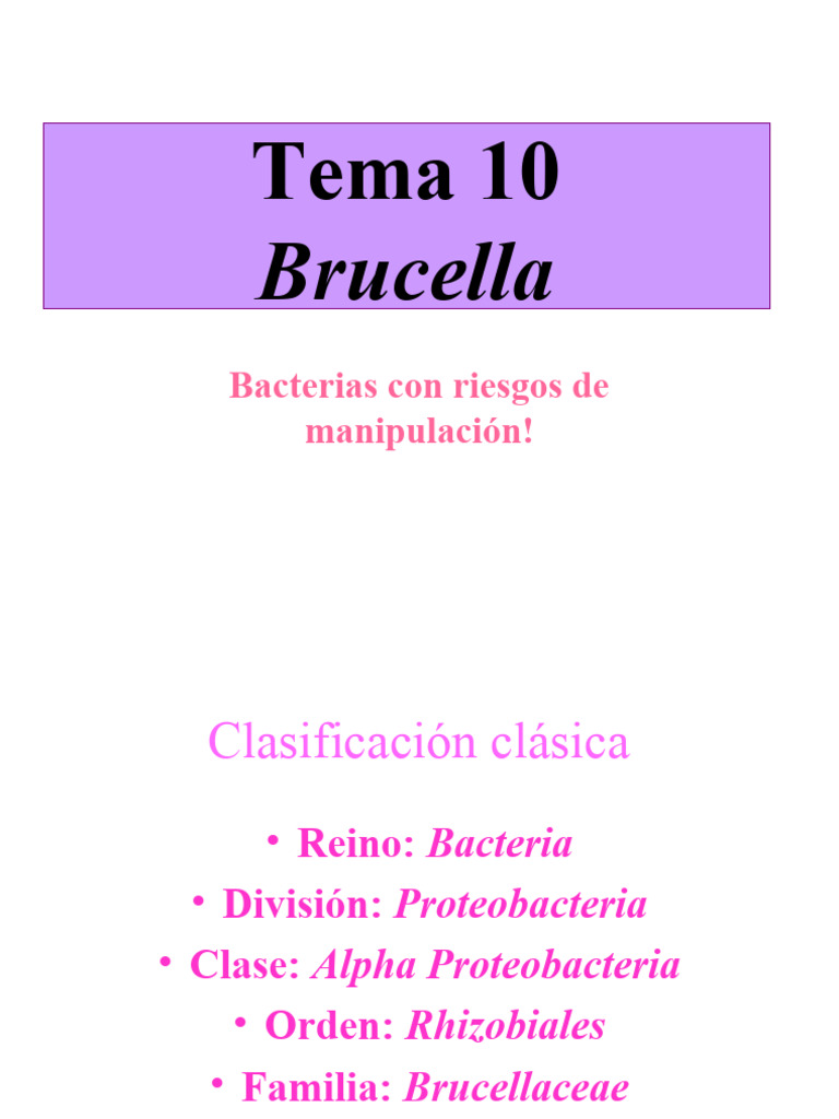 Brucella | PDF | Enfermedades y trastornos | Biología