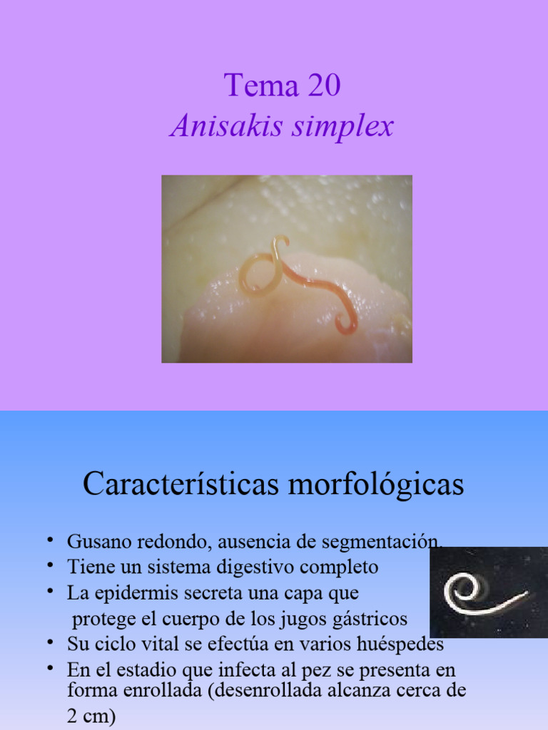 Anisakis | PDF | Especialidades Medicas | Medicina CLINICA