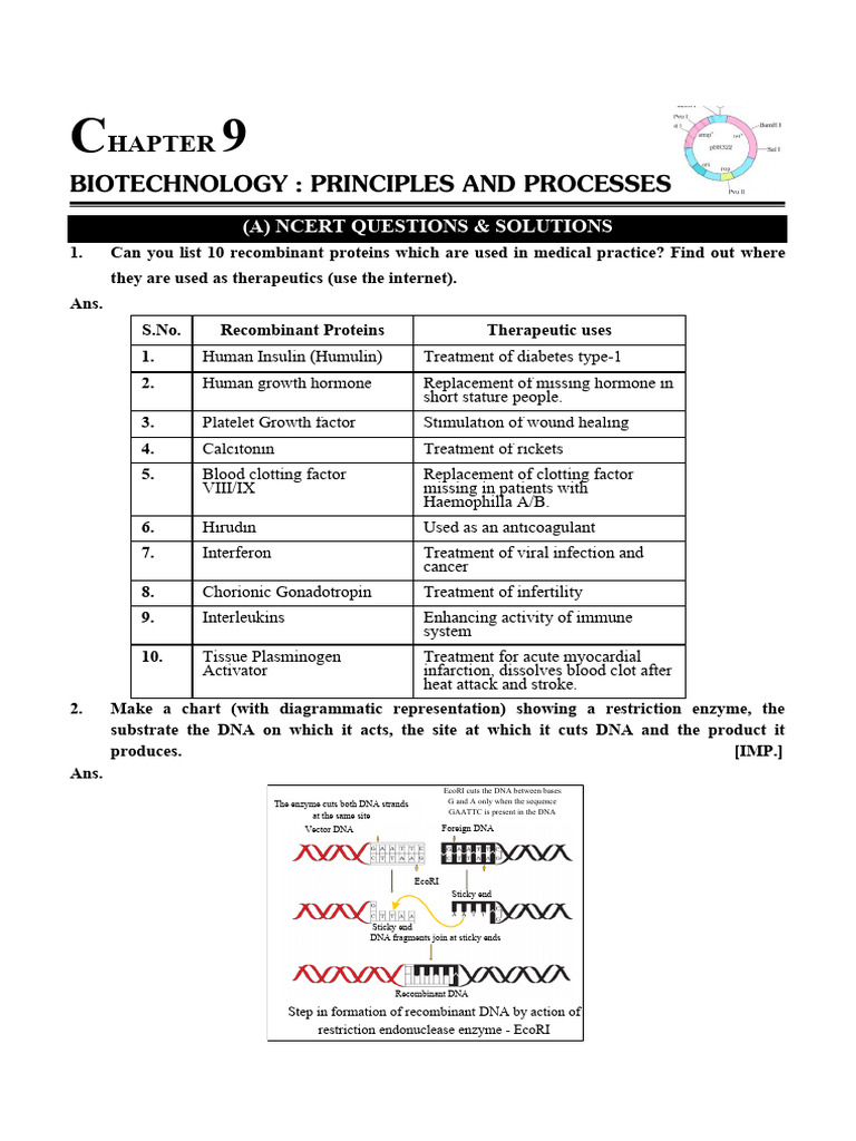 Biotechnology - Principles and Processes | PDF