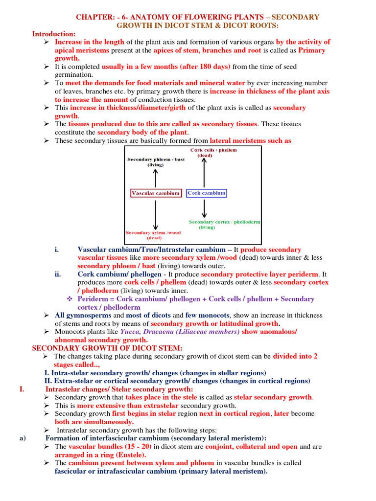 Chapter 6 Anatomy of Flowering Plants - SECONDARY GROWTH | PDF | Plant ...