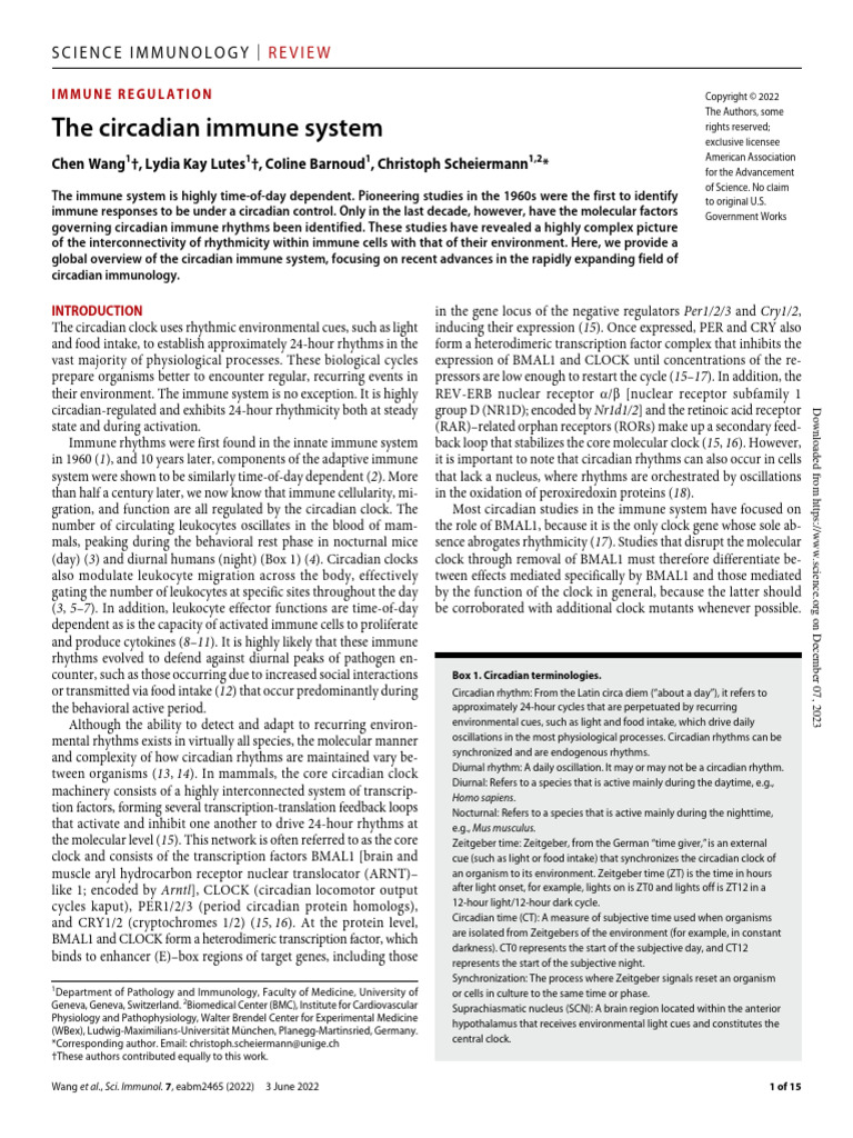The Circadian Immune System | PDF