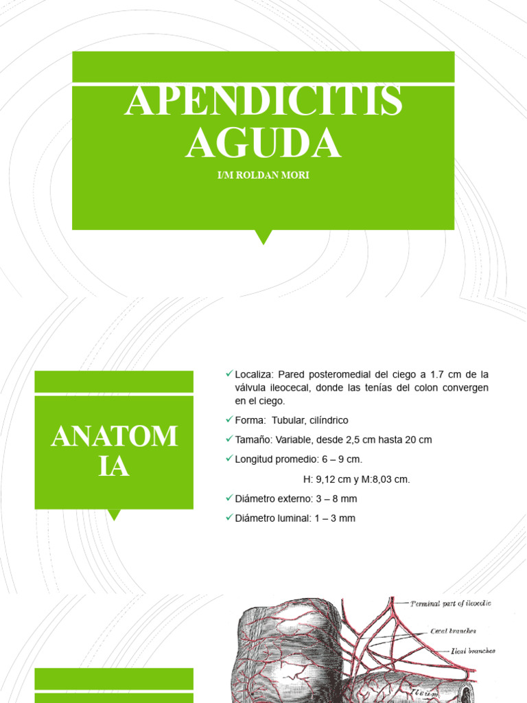 Apendicitis Aguda | PDF | Especialidades Medicas | Fisiología