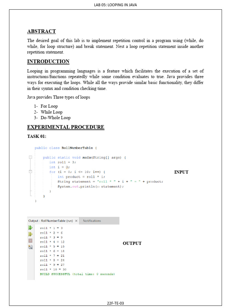 OOPs in Java Lab Report | PDF