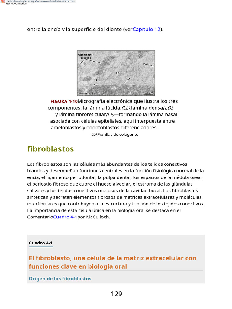 Ten Cate Oral Histology Development Structure and Function 9th Edition (Konkur - In) 130 136.en ...