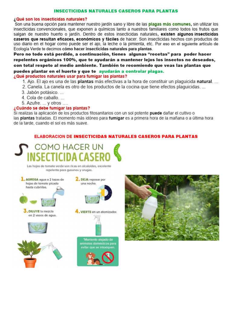 Insecticidas Caseros para Plantas | PDF | Pesticida | Insecticida
