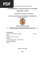 Anatomía y Cuidado de la Rata Wistar | PDF