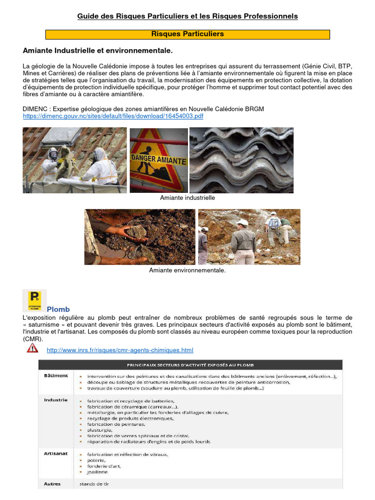 Guide Des Risques | PDF | Amiante | Ultra-violet