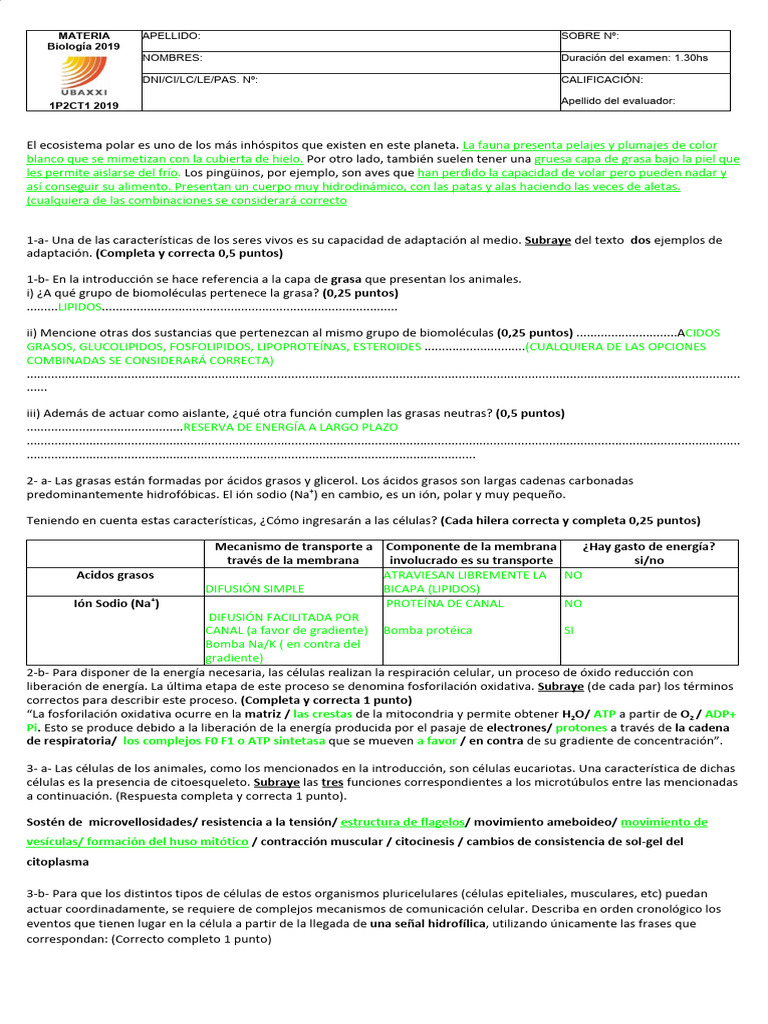 PRIMER PARCIAL T1 2C 2019 Con Respuestas | PDF
